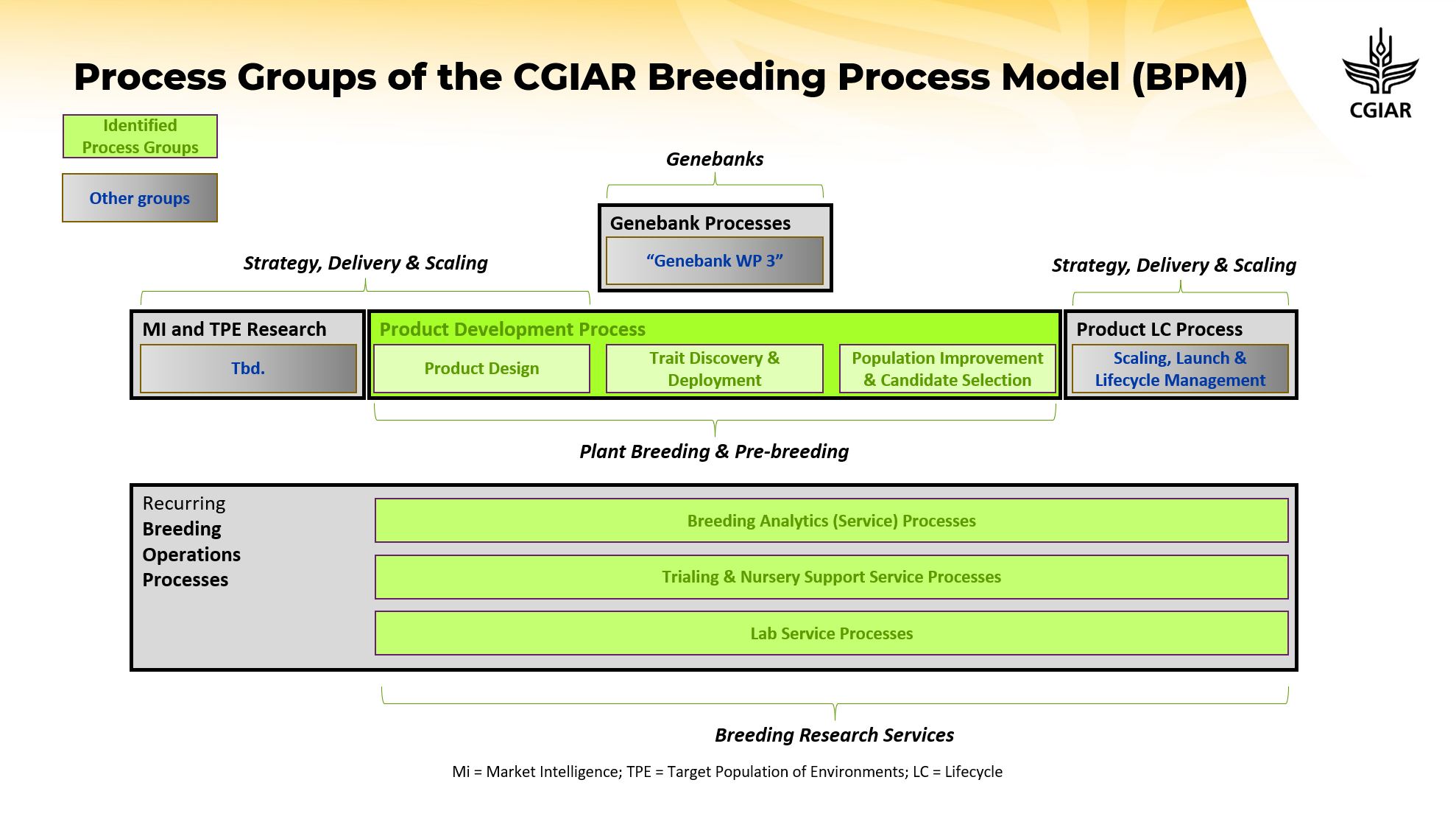 Inside Genetic Innovation’s process management: mapping processes to enhance breeding research ...